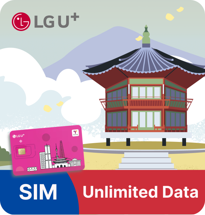 Korea Wireless | Unlimited Pocket WiFi, eSIM& SIM for Travelers